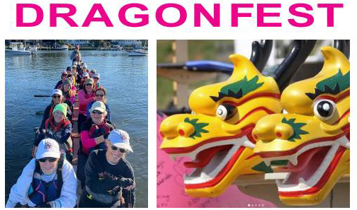 Annapolis Dragon Boat Club Dragonfest 2024